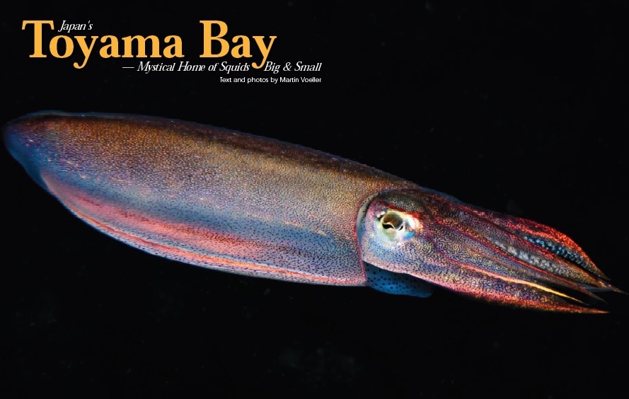 Japan's Toyama Bay | Dive Japan